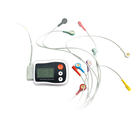 Digital ECG Holter ecg with two recorders , Hand Held Dynamic ECG ...