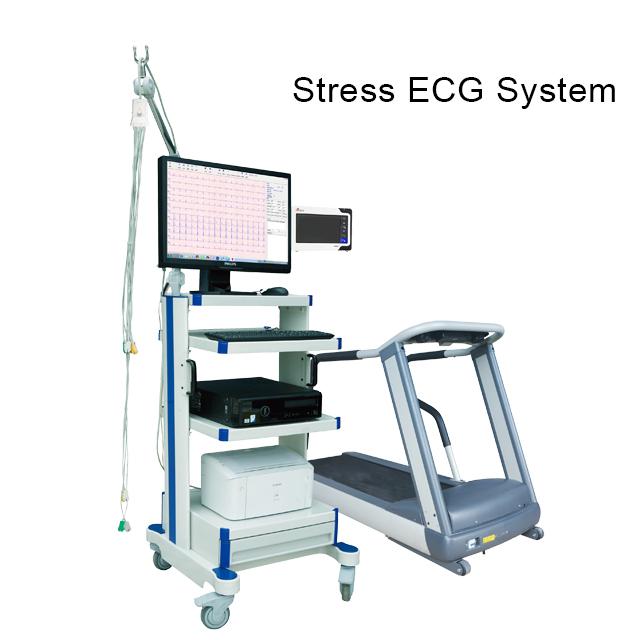 USB Connection Stress Ecg Machine Stress ECG Analysis System 12 Channel ...